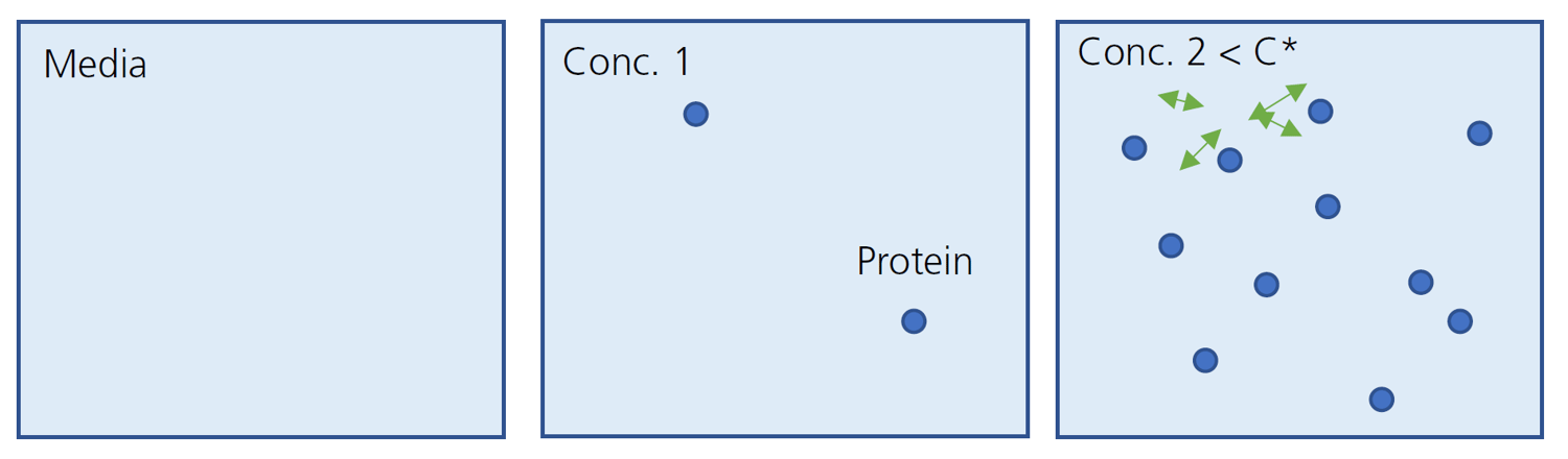 mAb Analysis with Dynamic Light Scattering & Intrinsic Viscosity