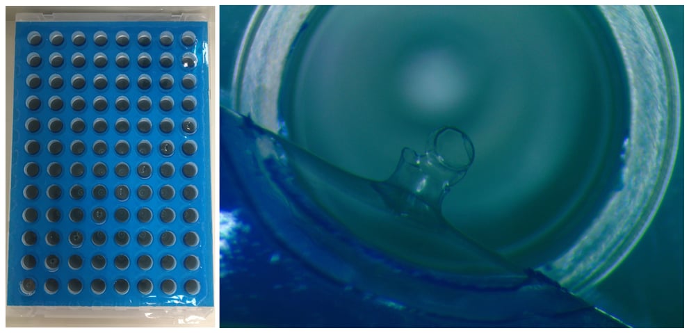 96 Well Plate or 40 Vial Rack?