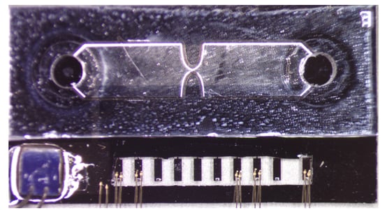 Automate Your Extensional Measurements