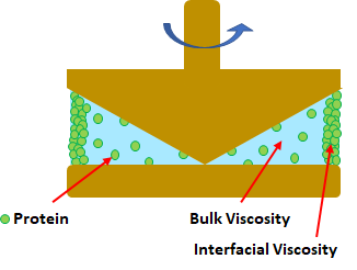 Therapeutic Protein Formulation: Air Interface