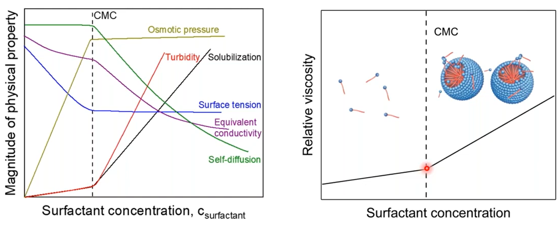 Self Assembly in Complex Fluids